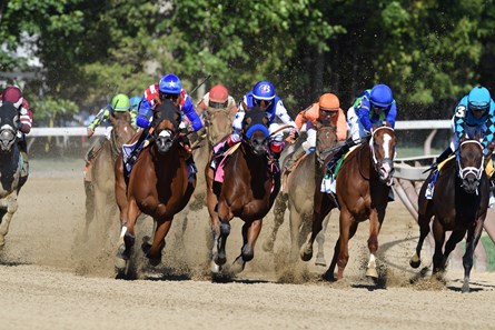 American Gal - Horse Profile - BloodHorse