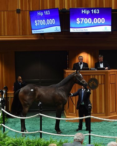 Spendthrift Counts Malibu Moon Colts Among Purchases - BloodHorse