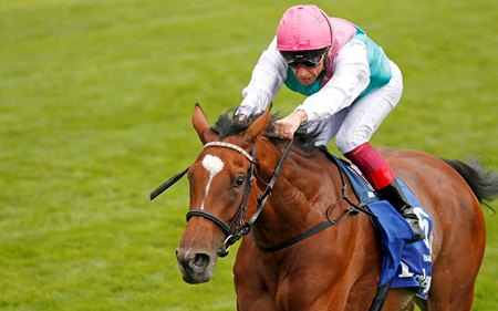 Wonder Woman: Enable Strikes Again in Yorkshire Oaks - BloodHorse