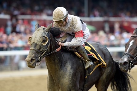 Stallwalkin' Dude - Horse Profile - BloodHorse