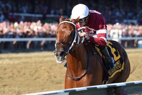 Gun Runner Cruises in Whitney - BloodHorse