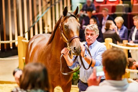 Arqana Yearling Sale Concludes With Record Average - BloodHorse