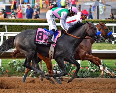 Collected - Horse Profile - BloodHorse