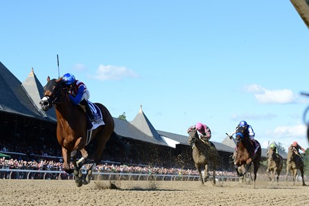 American Gal - Horse Profile - BloodHorse