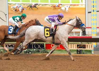 Cupid - Horse Profile - BloodHorse