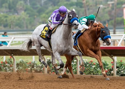 Cupid - Horse Profile - BloodHorse