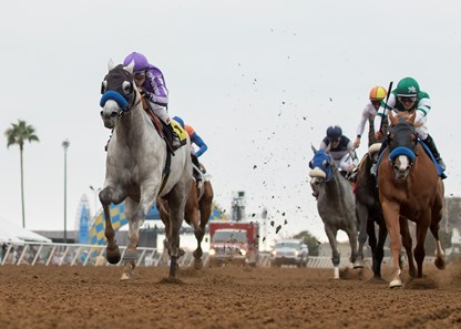 Cupid - Horse Profile - BloodHorse