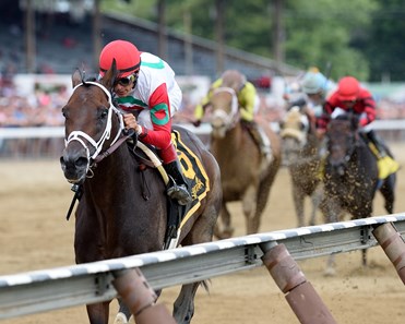 Rally Cry - Horse Profile - BloodHorse
