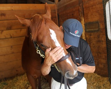 Orb - Horse Profile - BloodHorse