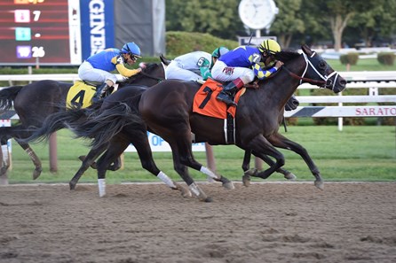 Neolithic - Horse Profile - BloodHorse