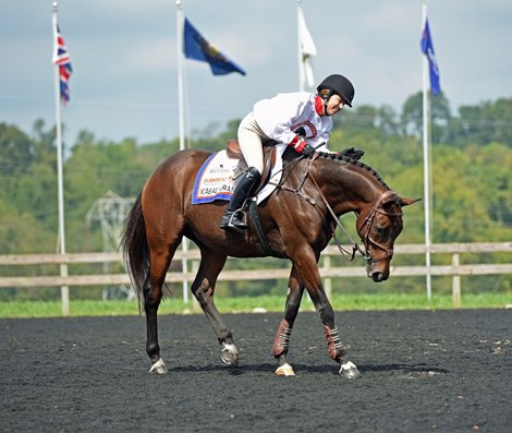 Real Rider Cup Returns With New In-Person Format - BloodHorse