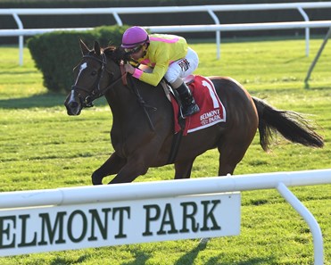 Fourstar Crook - Horse Profile - BloodHorse