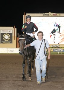 Pacific Typhoon - Horse Profile - BloodHorse