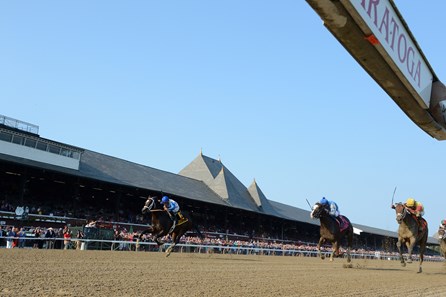 Sporting Chance - Horse Profile - BloodHorse