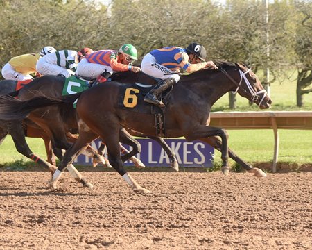 Overanalyze Gets First Black-Type Winner - BloodHorse