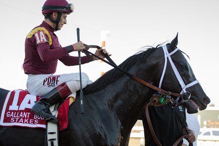 Coal Front - Horse Profile - BloodHorse