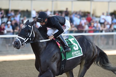 Sharp Azteca - Horse Profile - BloodHorse