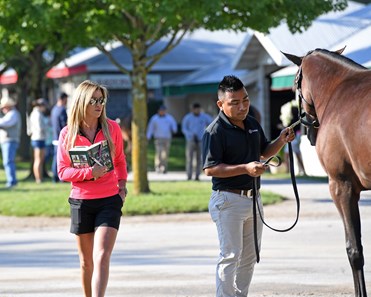 Sealy Hill - Horse Profile - BloodHorse