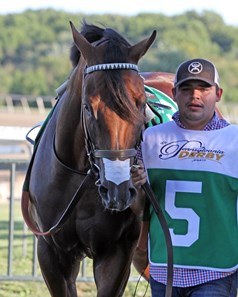 Irap - Horse Profile - BloodHorse