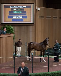 Strong Market Continues Through Keeneland Book 3 - BloodHorse