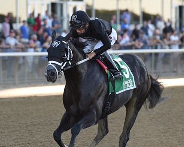 Sharp Azteca - Horse Profile - BloodHorse
