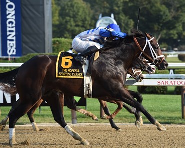 Sporting Chance - Horse Profile - BloodHorse
