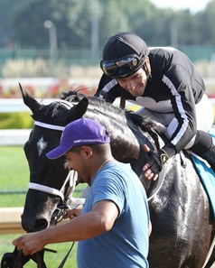 The Tabulator - Horse Profile - BloodHorse