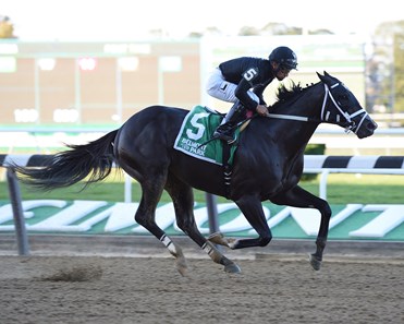 Sharp Azteca - Horse Profile - BloodHorse