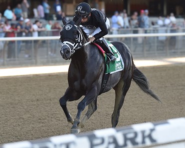 Sharp Azteca - Horse Profile - BloodHorse
