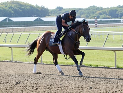 Irap - Horse Profile - BloodHorse