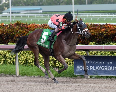 Paynter Gets First Black-Type Winner - BloodHorse