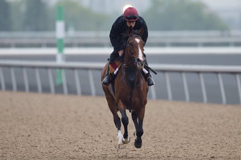 Euros Invade for E.P. Taylor, Canadian International - BloodHorse