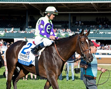 Rushing Fall - Horse Profile - BloodHorse