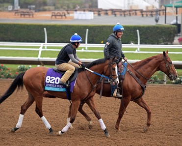 Snapper Sinclair - Horse Profile - BloodHorse