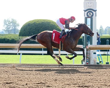 C Z Rocket - Horse Profile - BloodHorse