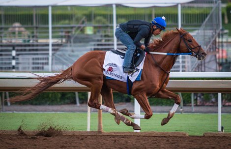 Gun Runner Logs First Work at Santa Anita - BloodHorse