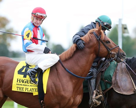 The Player Signals His Readiness for Clark Handicap - BloodHorse
