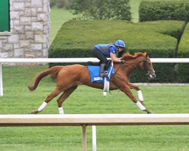 Wuheida (GB) - Horse Profile - BloodHorse