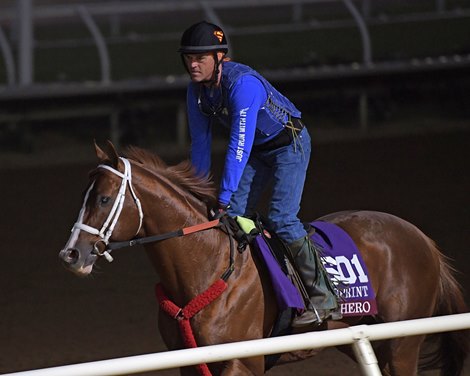 Bucchero Named Indiana-Bred Horse of the Year - BloodHorse