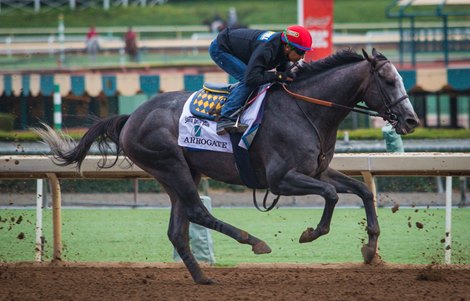 Arrogate Puts in Easy Half-Mile at Santa Anita Park - BloodHorse