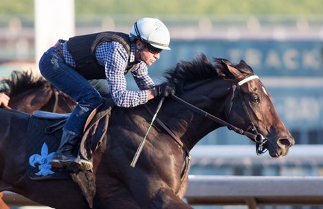 Keith Desormeaux Sends Out My Boy Jack in Sham Stakes - BloodHorse