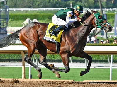 Bolt d'Oro - Horse Profile - BloodHorse