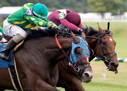 Talk Show Man - Horse Profile - BloodHorse