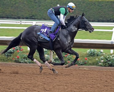 The Tabulator - Horse Profile - BloodHorse