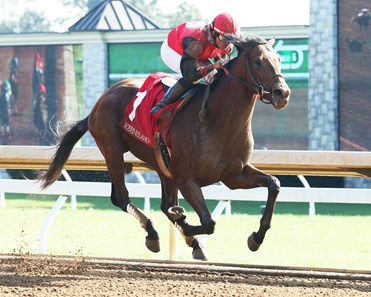 C Z Rocket - Horse Profile - BloodHorse