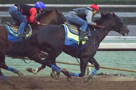 Mor Spirit - Horse Profile - BloodHorse