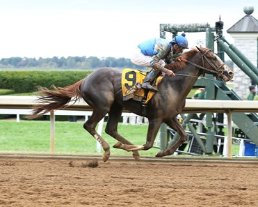 Free Drop Billy - Horse Profile - BloodHorse