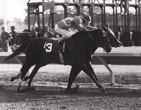 Claiborne's Swale a Sweet Breeders' Futurity Winner - BloodHorse