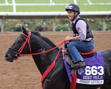 Sharp Azteca - Horse Profile - BloodHorse
