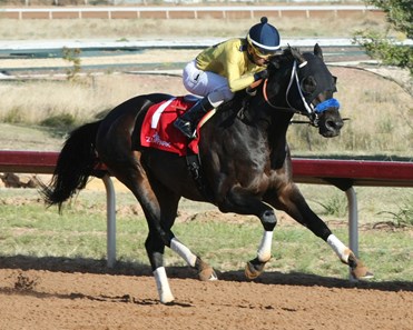 Code West - Horse Profile - BloodHorse
